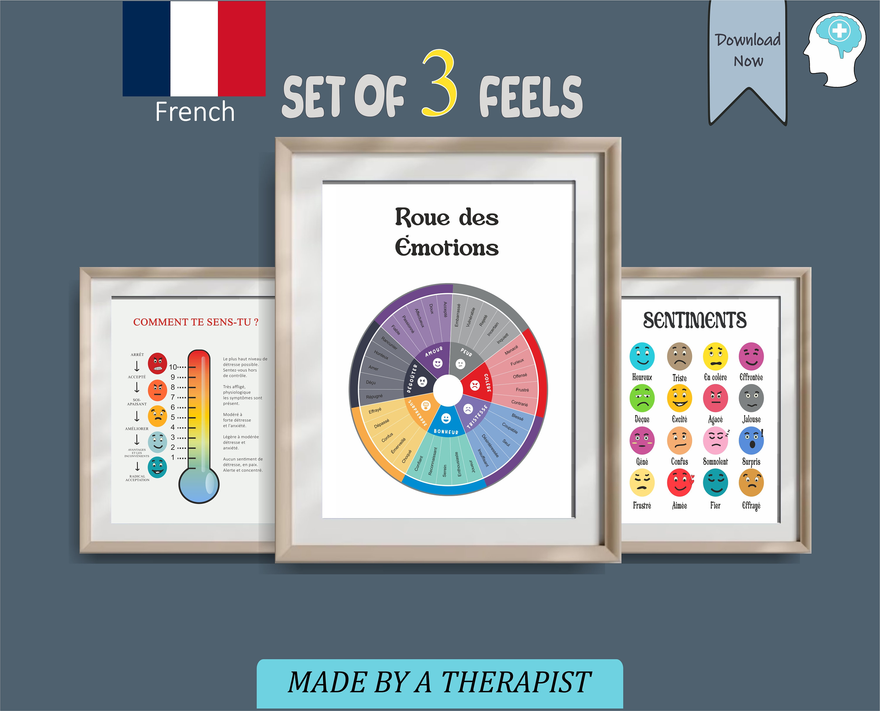 French Feelings Wheel Roue Des émotions Roue Des Sentiments Emotions ...
