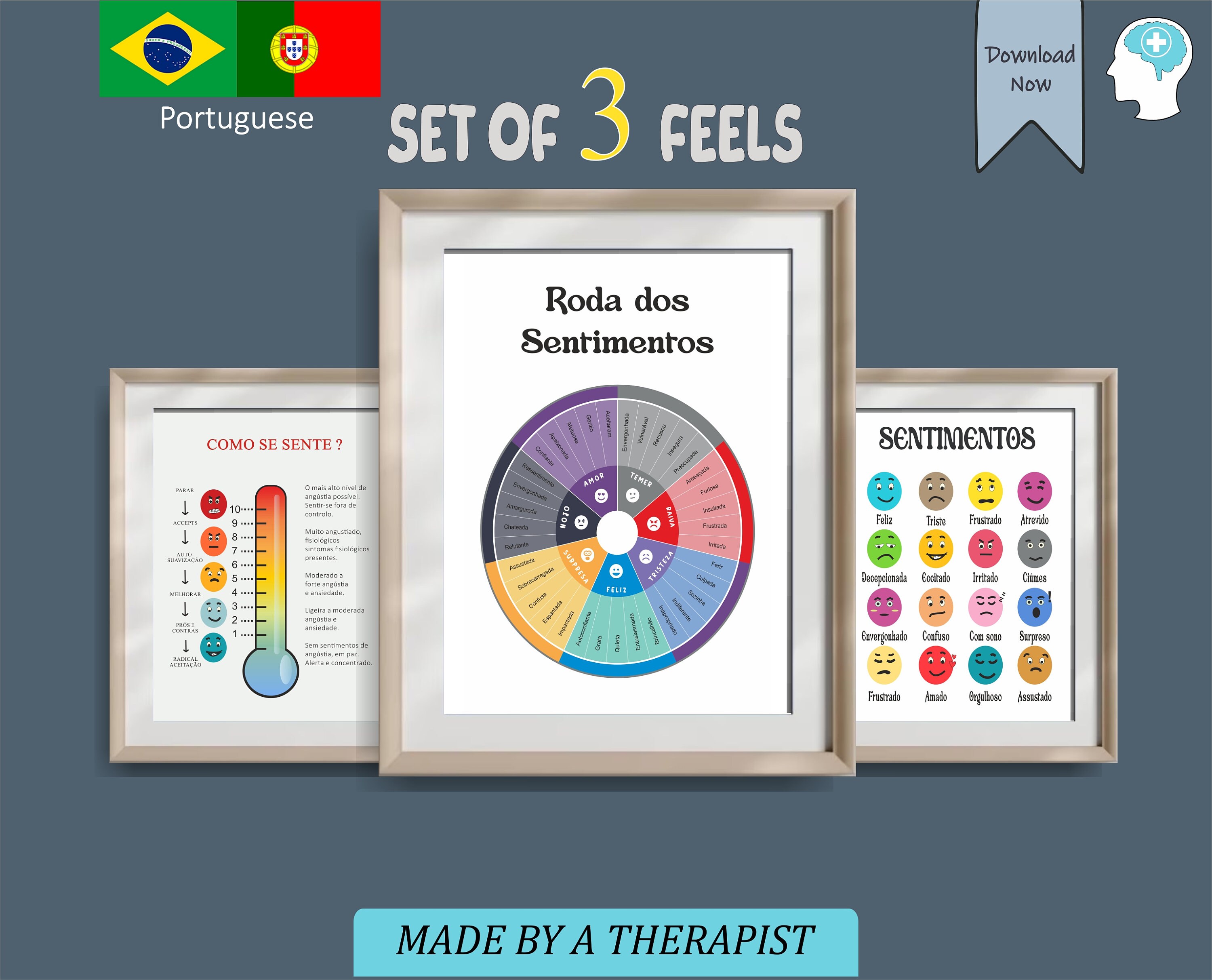 Português Feelings Wheel Roda Dos Sentimentos Roda Sentimento Emotions ...