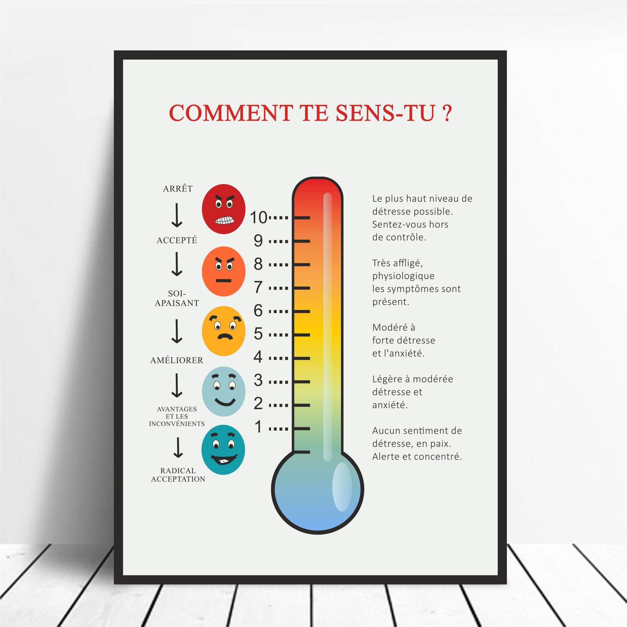 French Feelings Wheel Roue Des émotions Roue Des Sentiments Emotions ...