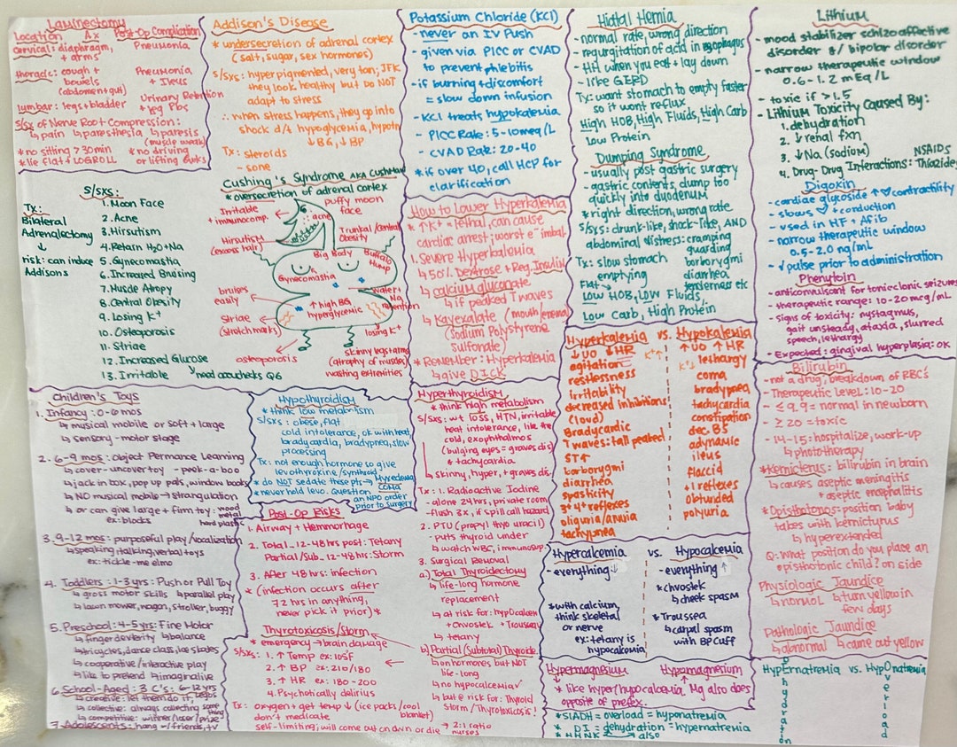 NCLEX Speed Notes - Etsy