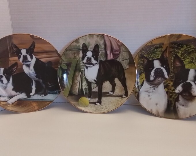 Boston Terrier Collection Series by Dan Hatala Gold Rim 3 Plates ...