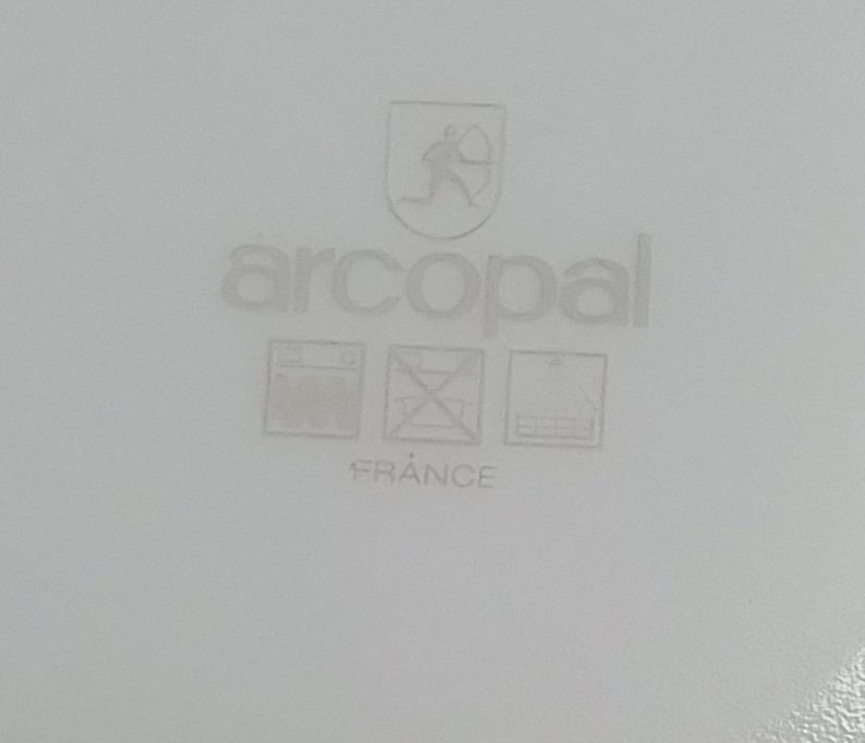 Arcopal Floral Pastel Fliwers Salad Plates Vintage Made in France Set ...