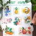 Transparent Fruit Stamps Sticker Sheet - Etsy