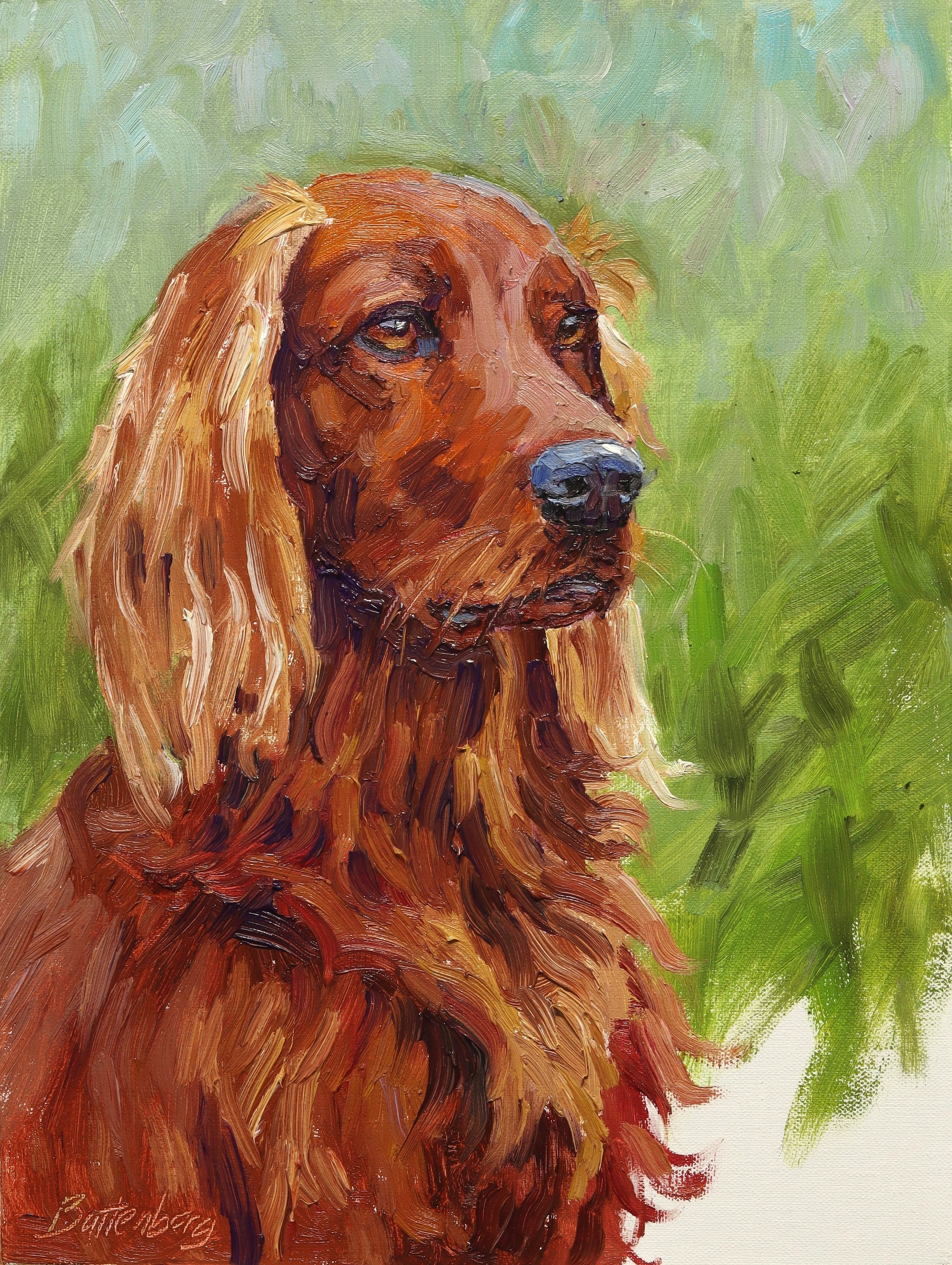 Irish Setter Canvas Print From Original Oil Painting, Irish Setter ...