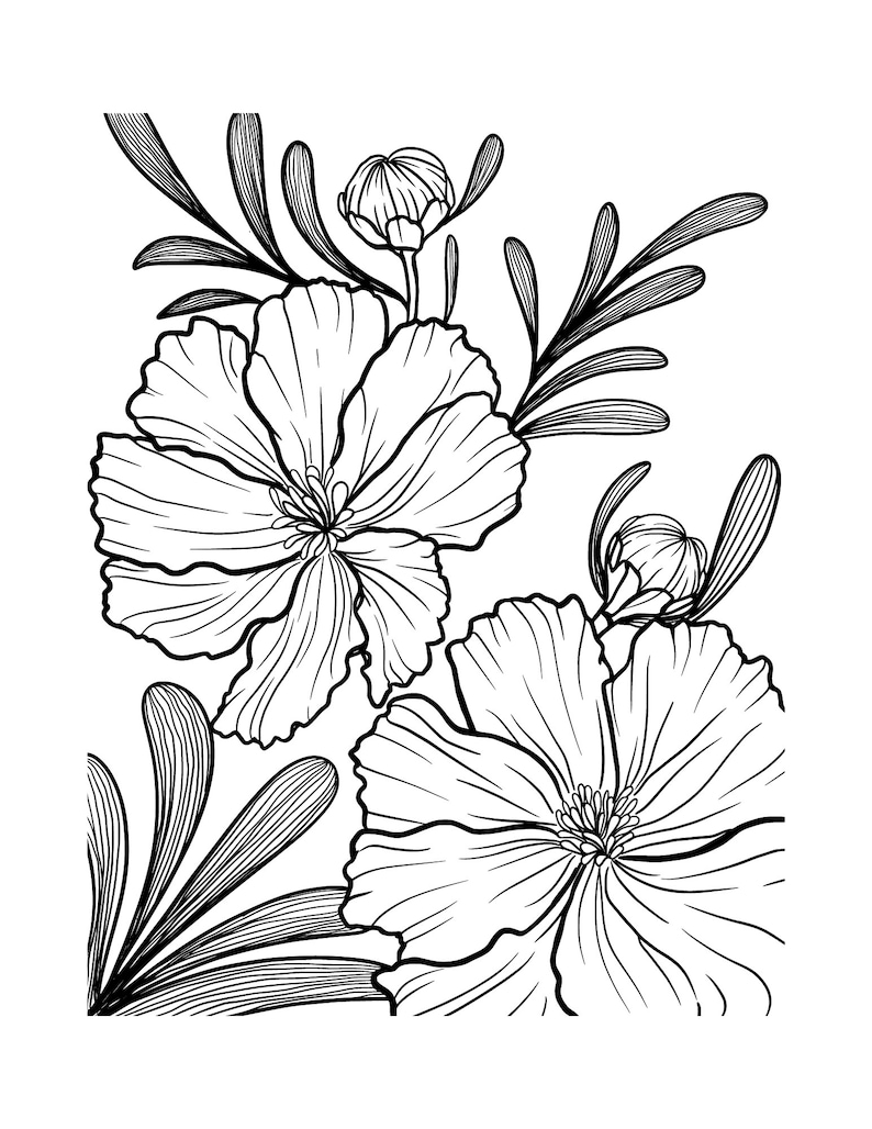 A Stress-relief, Mindful Coloring Book With Affirmations for Adults and ...