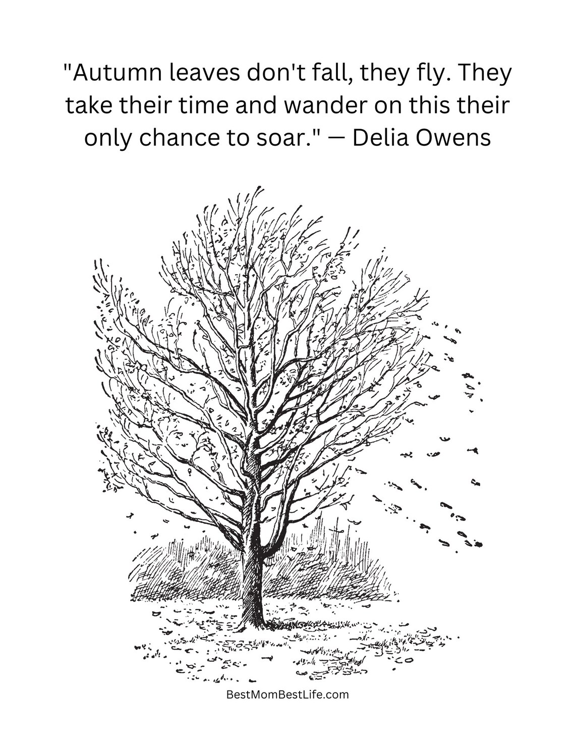 Thanksgiving Coloring Pages for Teens and Adults - Etsy