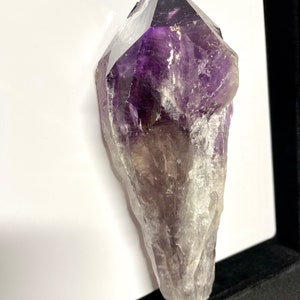 Big Natural Scepter Dragon Tooth Amethyst, Rare Find, 7.5" Unpolished ...