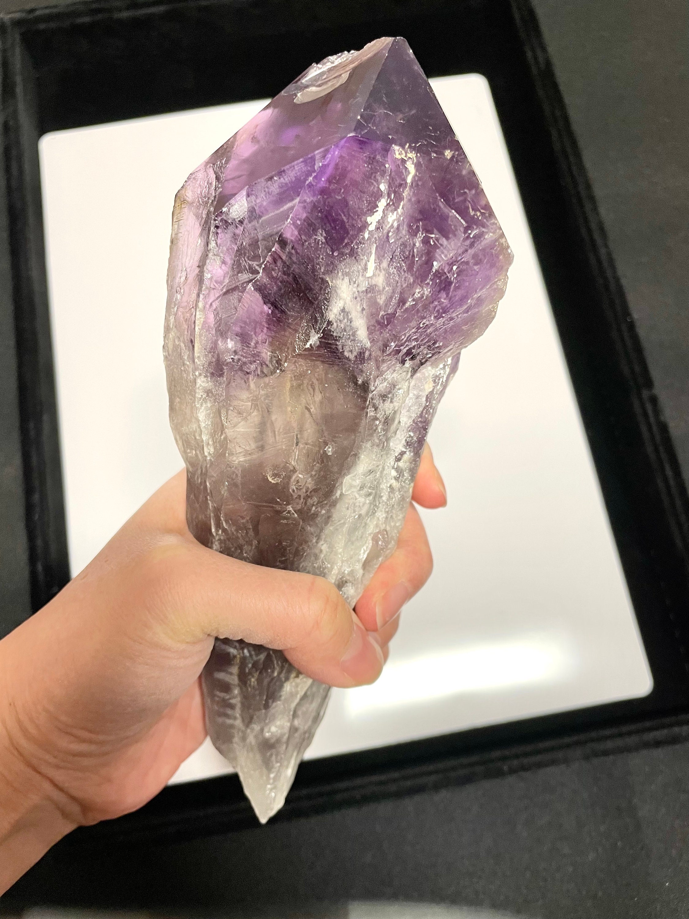 Big Natural Scepter Dragon Tooth Amethyst, Rare Find, 7.5" Unpolished ...