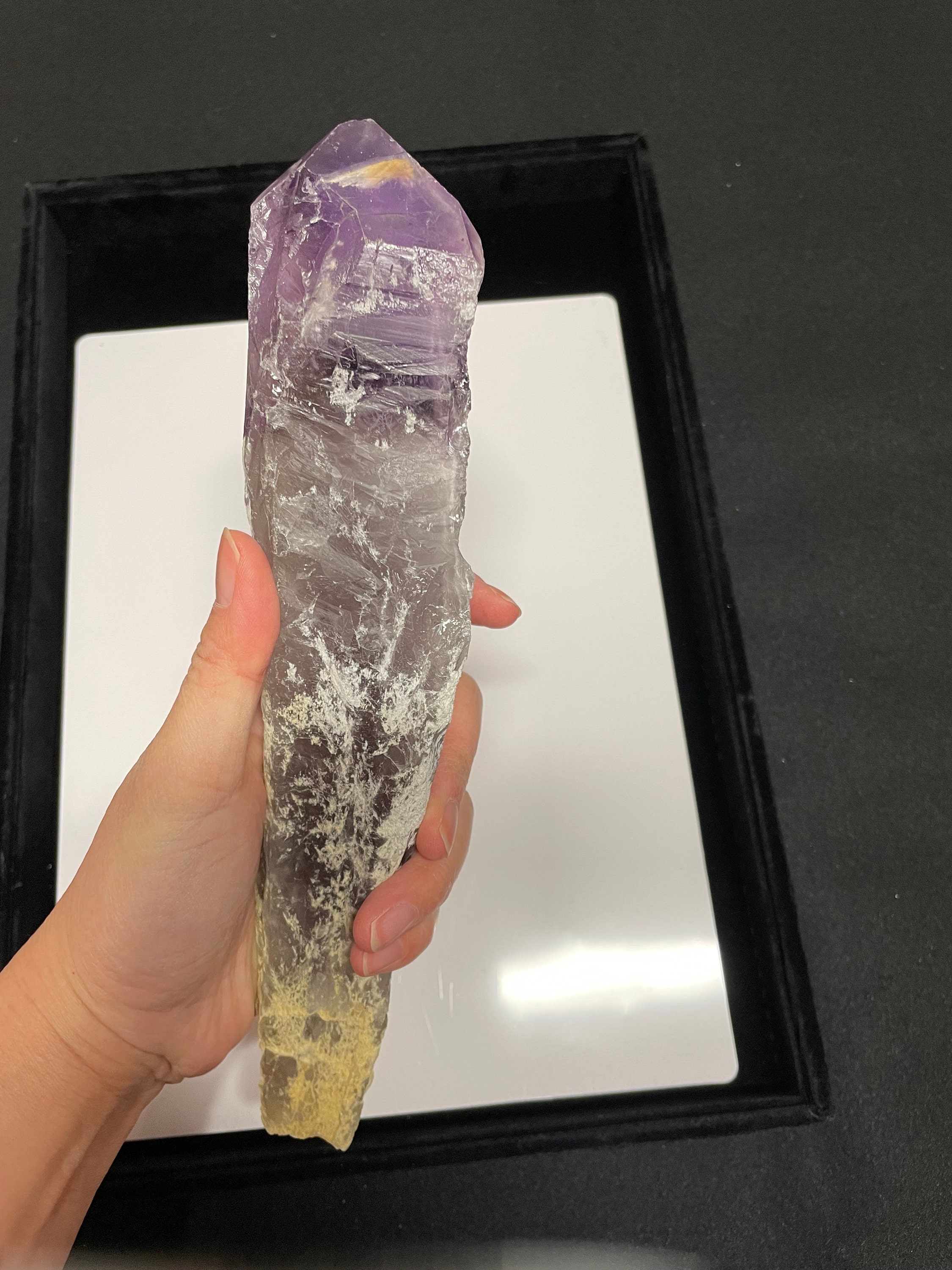 Big Natural Scepter Dragon Tooth Amethyst, Rare Find, 9" Unpolished ...