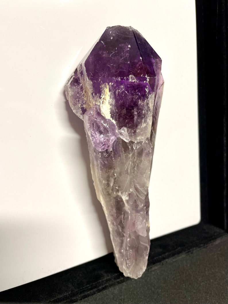 Big Natural Scepter Dragon Tooth Amethyst, Rare Find, 7.5" Unpolished ...