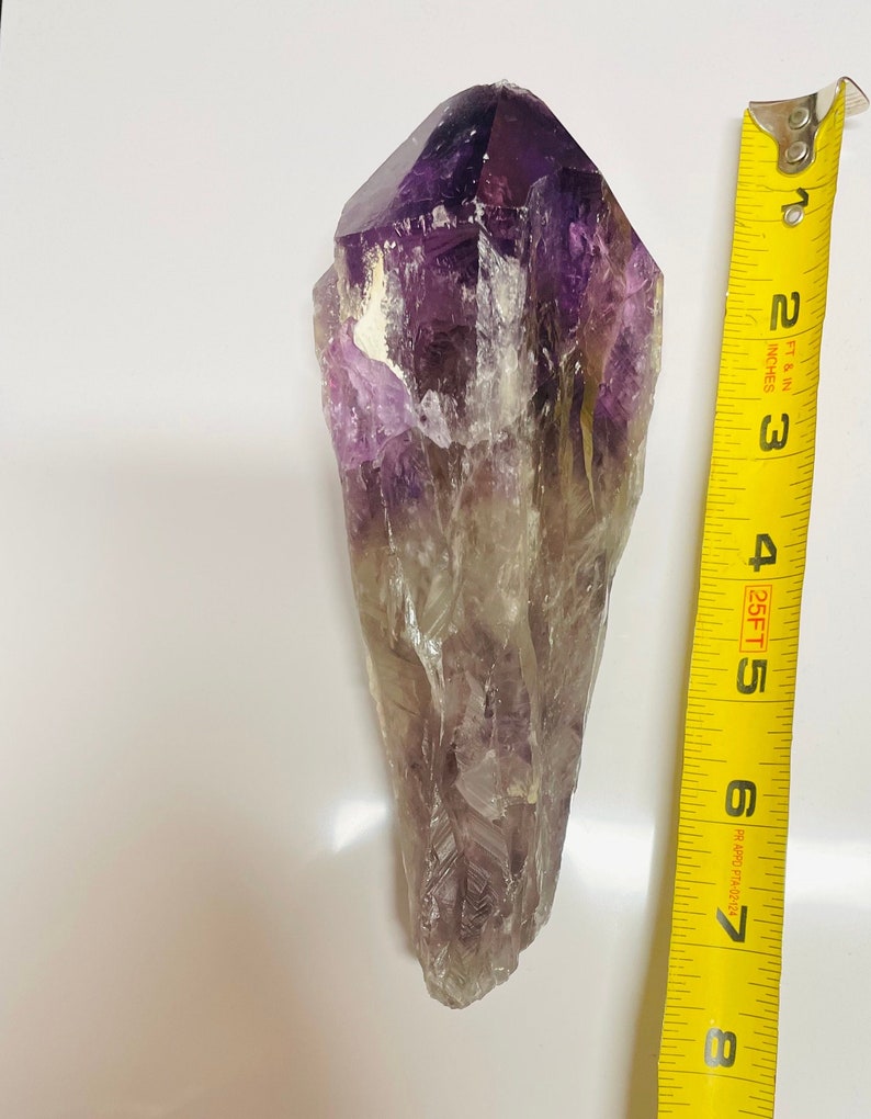 Big Natural Scepter Dragon Tooth Amethyst, Rare Find, 7.5" Unpolished ...