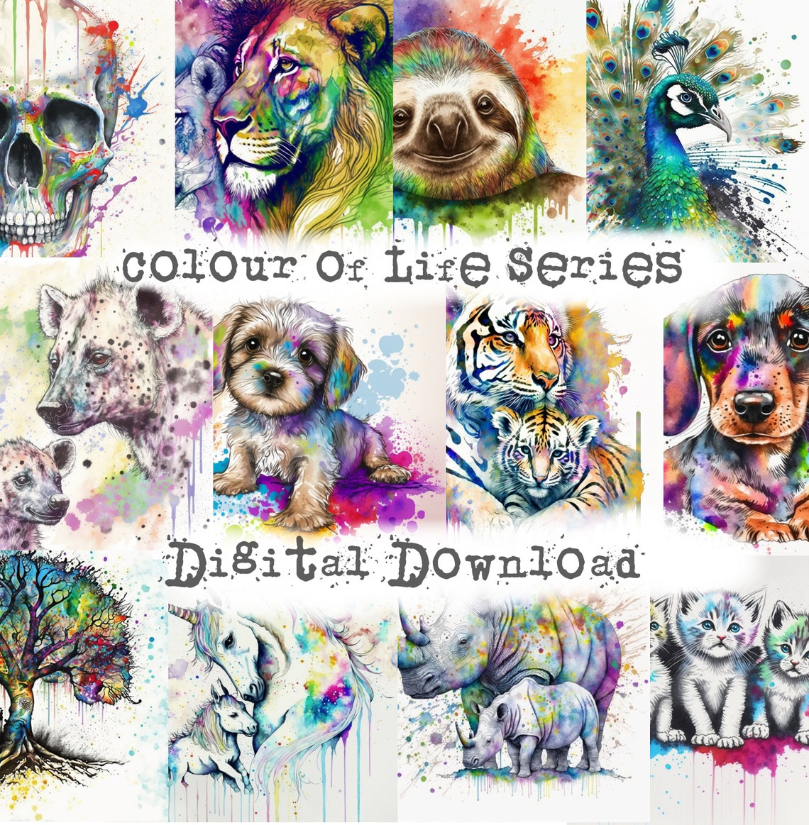 Lion, Lioness, Colorful, Art, Wall Art, Canvas, Love, Digital ...