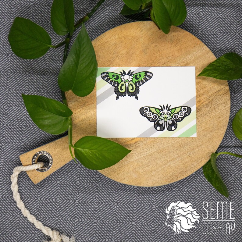 Pride Moth Postcard Pride Moth Aro Flag - Etsy