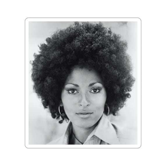 Pam Grier Foxy Brown Costume