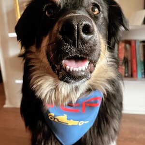 Liam Lawson F1 Pet Bandana Collar, Formula 1 Driver Merchandise, VCARB ...