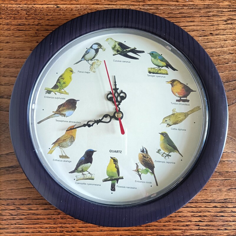 Birds Wall Clock - Etsy