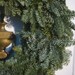 4lb- Balsam Fir Bough TIPS Fresh Evergreens - Etsy
