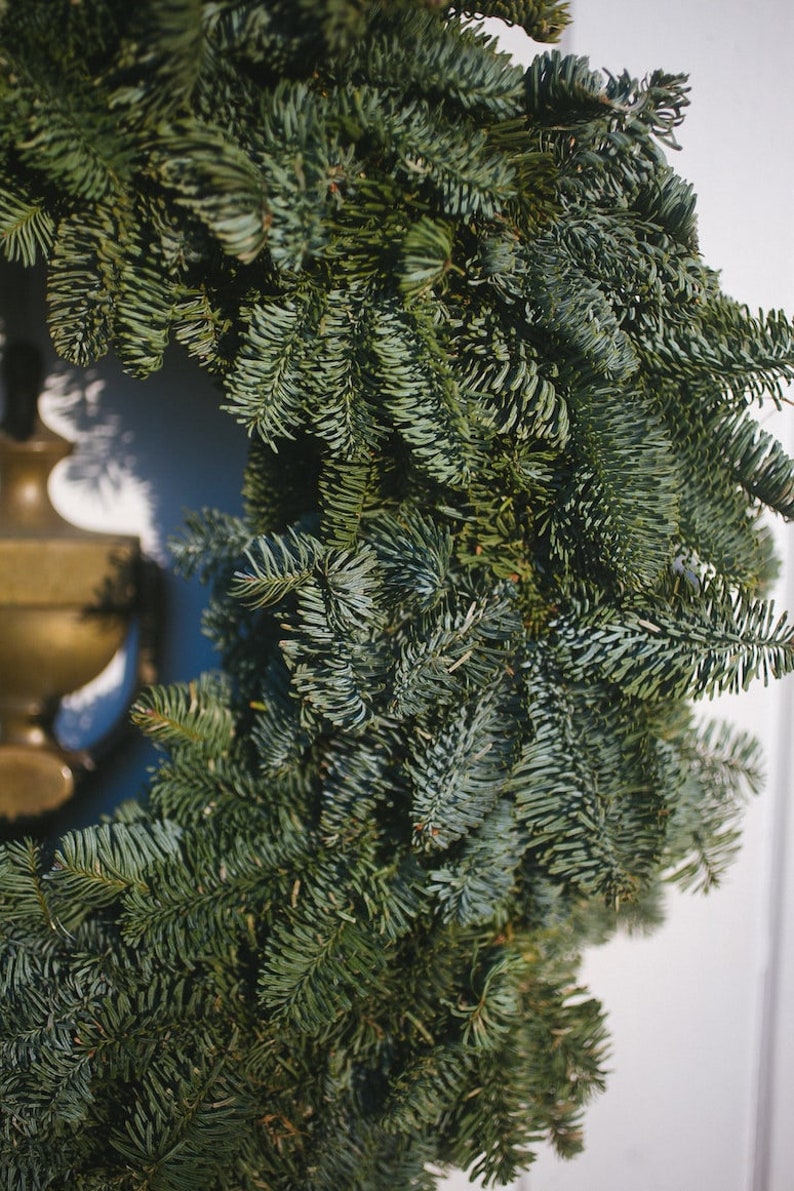 4lb- Balsam Fir Bough TIPS Fresh Evergreens - Etsy