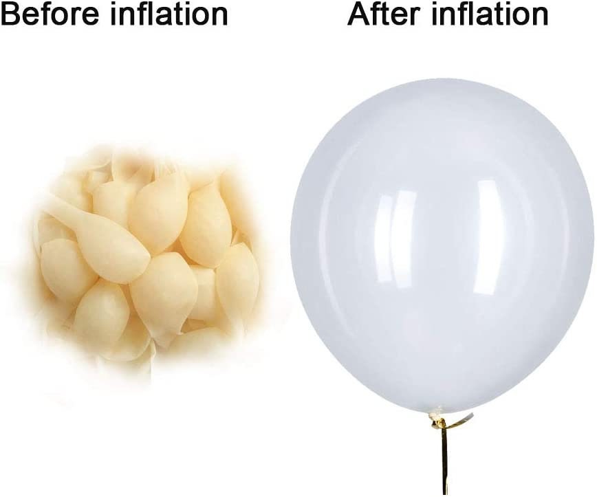 Bubble Clear Transparent Bobo Balloons Party Wedding 10/18/24/36" Inch ...
