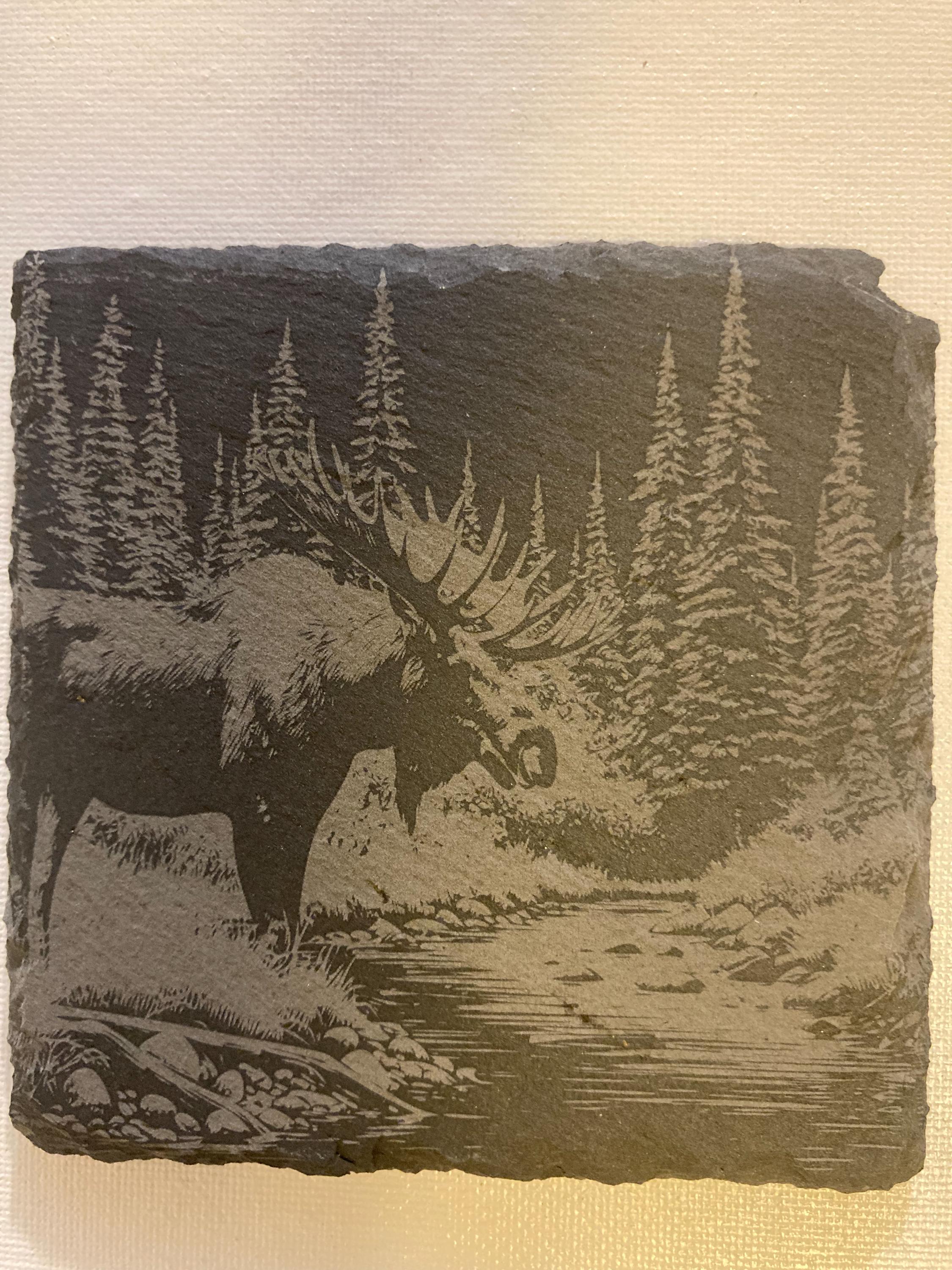 Set of 4 Slate Coasters- Laser Engraved With Various Moose Scenes - Etsy