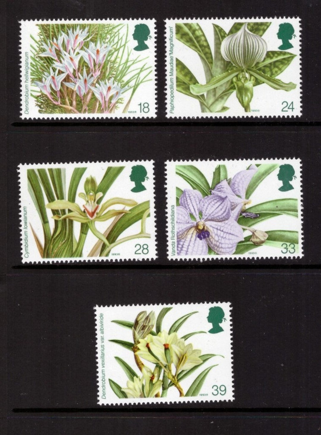 GB 1993 Flowers Orchid Set Mint Stamps for Collecting/collage/craft - Etsy