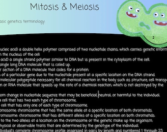 Cell Cycle and Cell Division | Mitosis and Meiosis I & II | Aesthetic ...