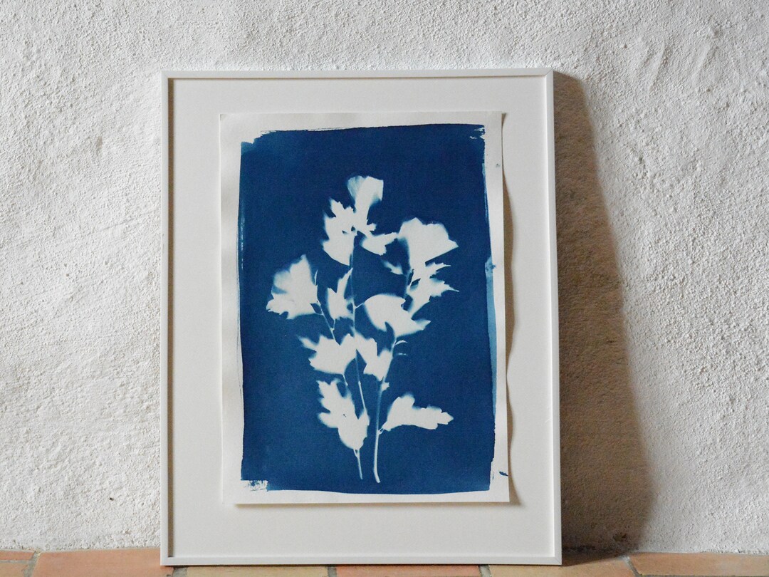 Hibiscus Flowers, A3 Original Blueprint. - Etsy