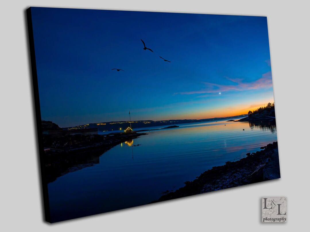 Magical Twilight, Venus Birds Landscape, Vibrant Photography Wall Art ...