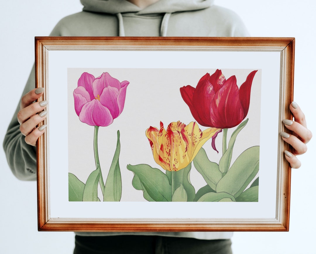 Tulip Japanese Woodblock Art From Seiyo Soka Zufu Collection - Etsy