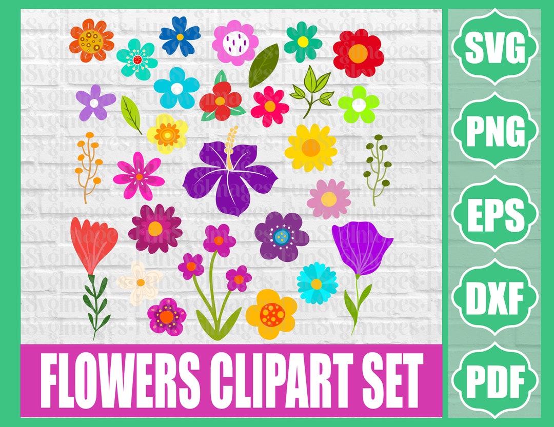 Colorful Flowers Clipart Set: Floral PNG, SVG, PDF (digital Download ...
