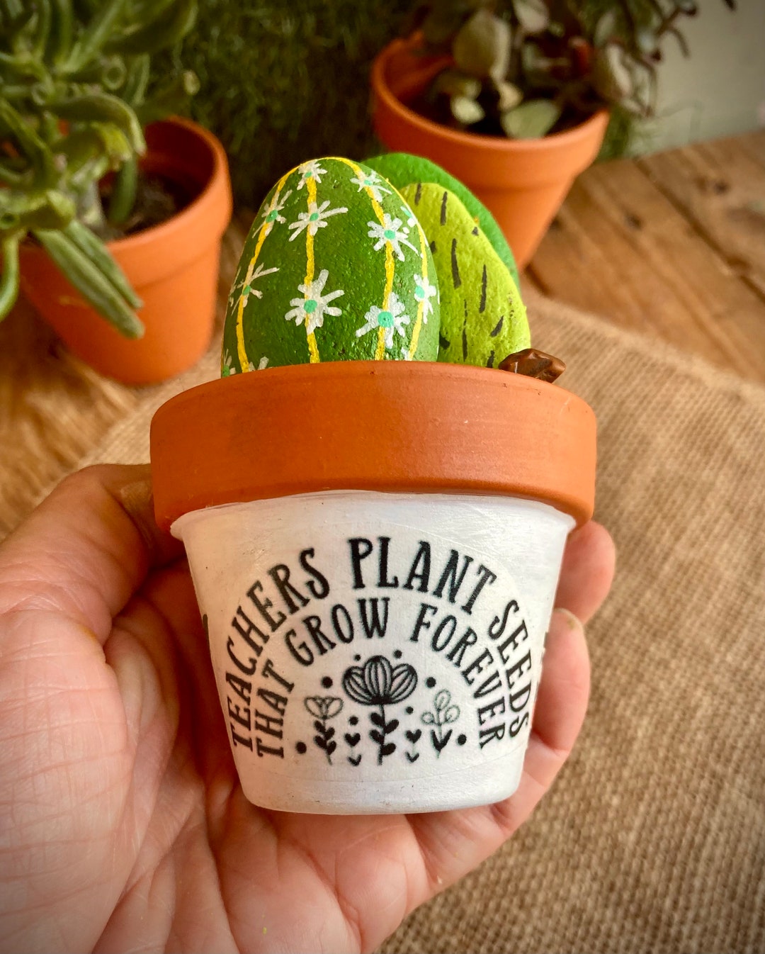 Pebble Plant Pot, Teachers Gift, Teachers Plant Seeds That Grow Forever ...