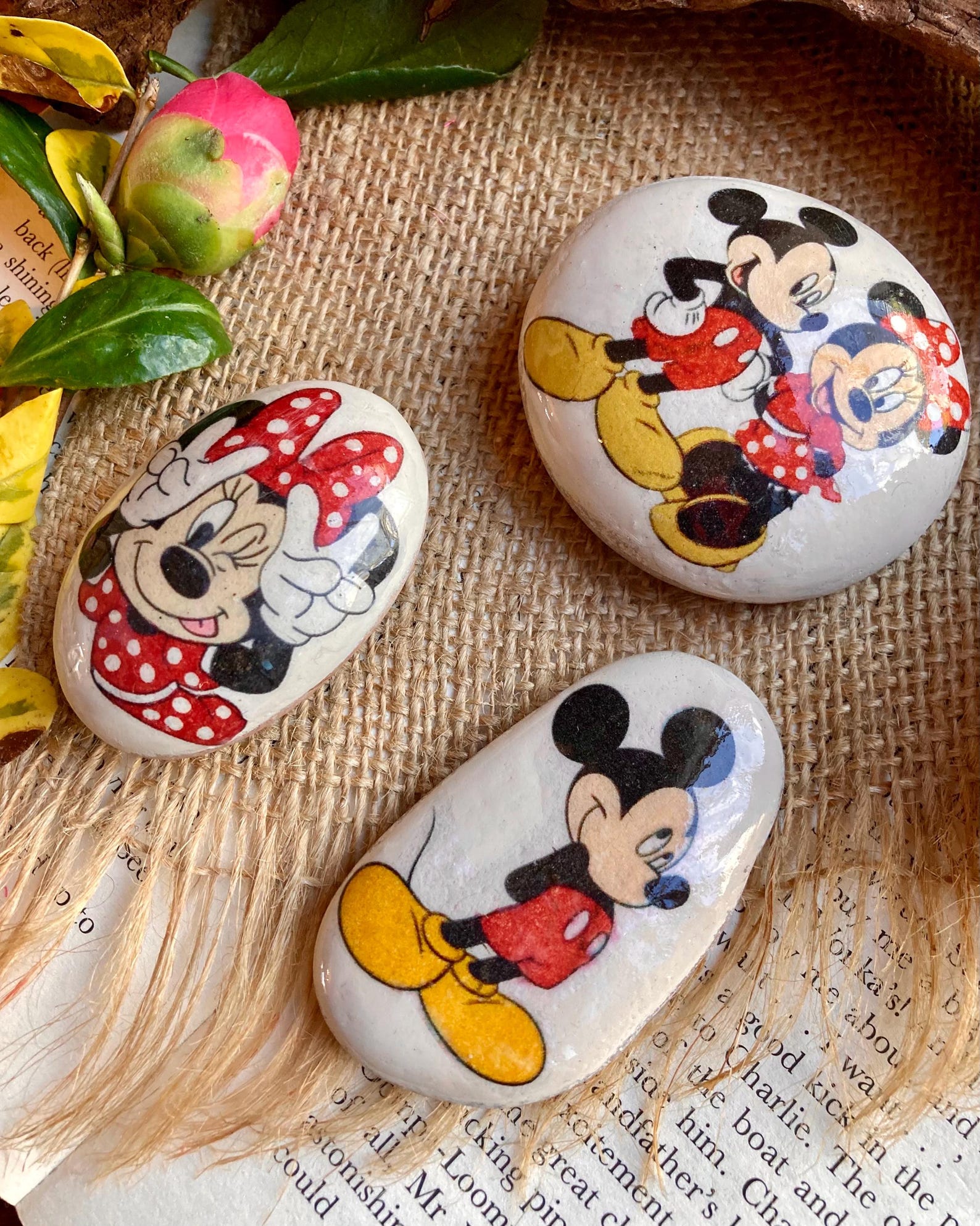 Mickey and Minnie Mouse Pebbles, Pebble Gift Box, Decorative Stones ...