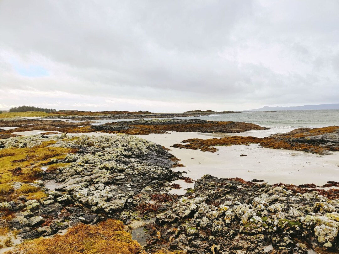 Scottish Rugged Coastal Seascape Wall Art, Art Photo, Waterscape Scene ...