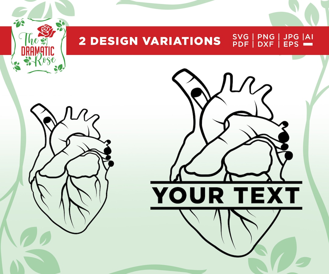 Cardiovascular Svg, Technician With Anatomical Heart SVG, Vector ...