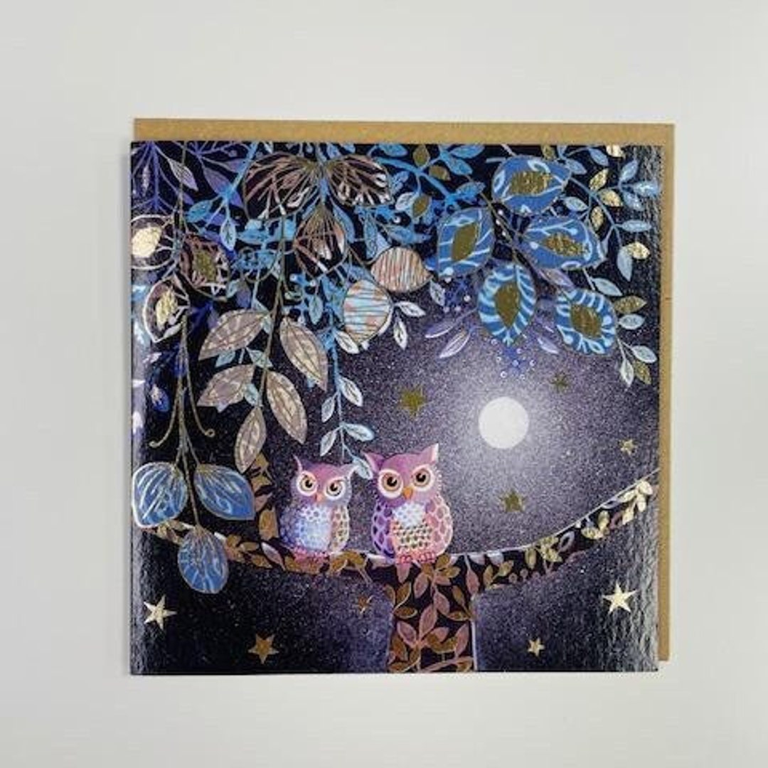 penny-gaj-night-owl-s-foiled-greeting-card-unique-foil-card-handmade