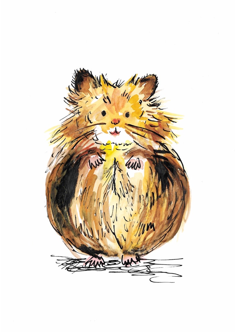Hamster Illustration Print - Etsy