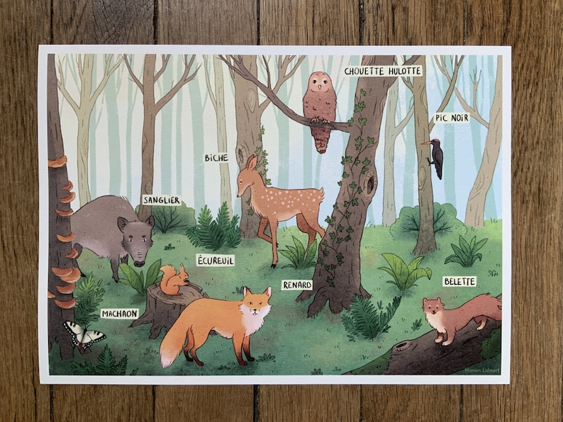 A4 or A5 Illustration of Forest Animals - Etsy