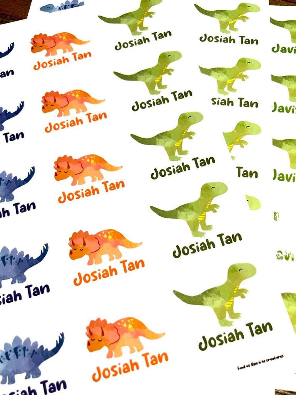 Dinosaur Name Labels (waterproof) - Etsy