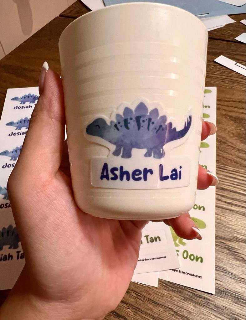 Dinosaur Name Labels (waterproof) - Etsy