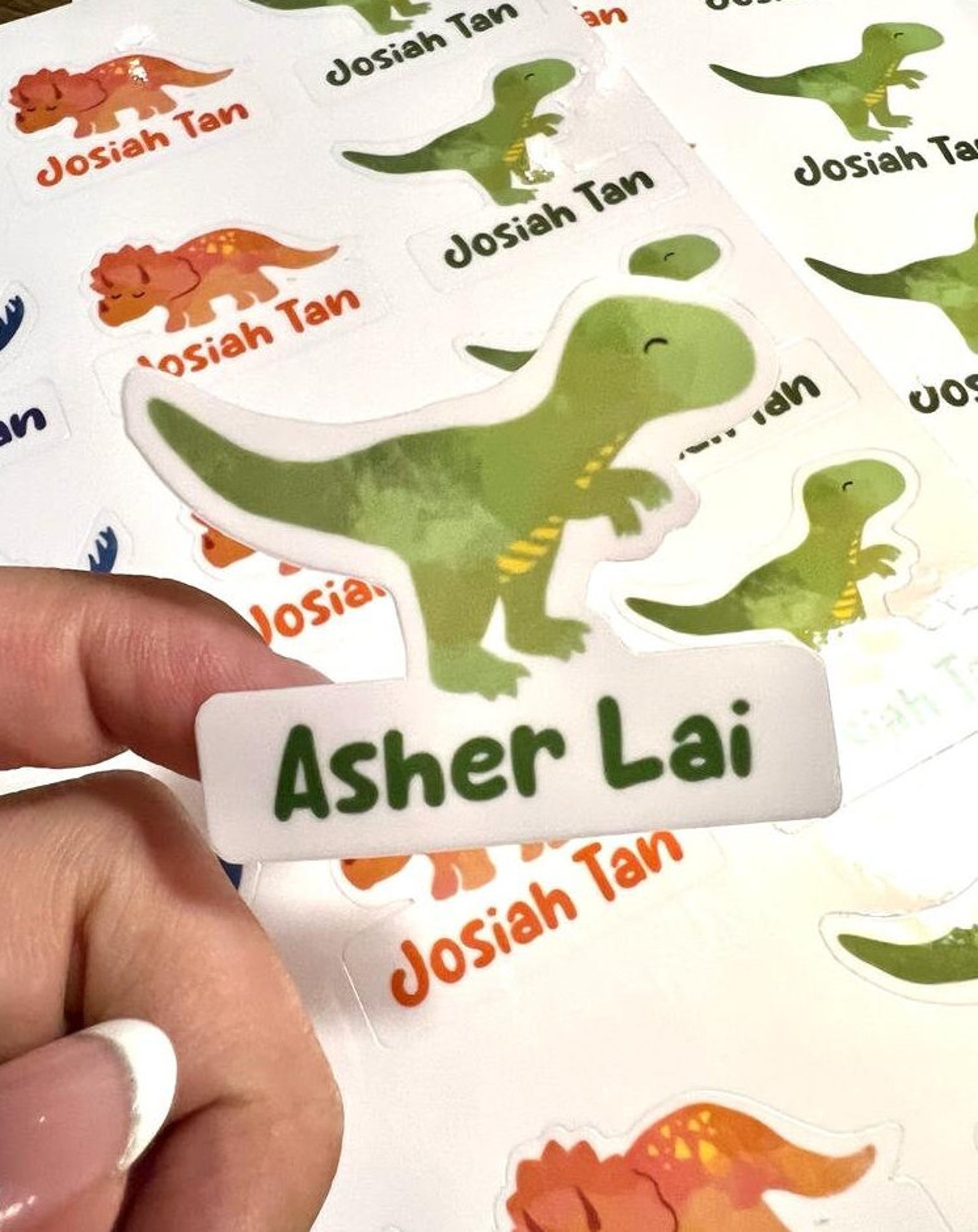 Dinosaur Name Labels (waterproof) - Etsy
