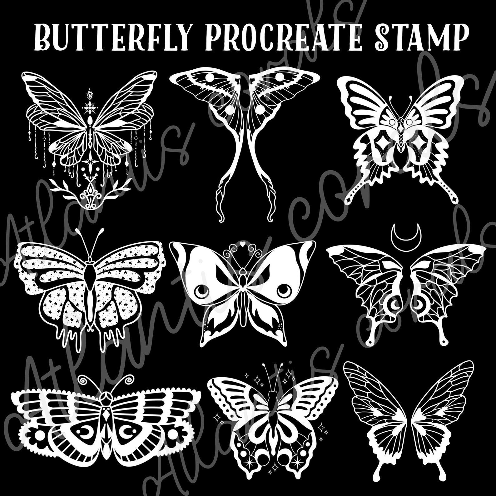 Moth Procreate Brushes Butterfly Procreate Stamps Procreate Brush Set ...