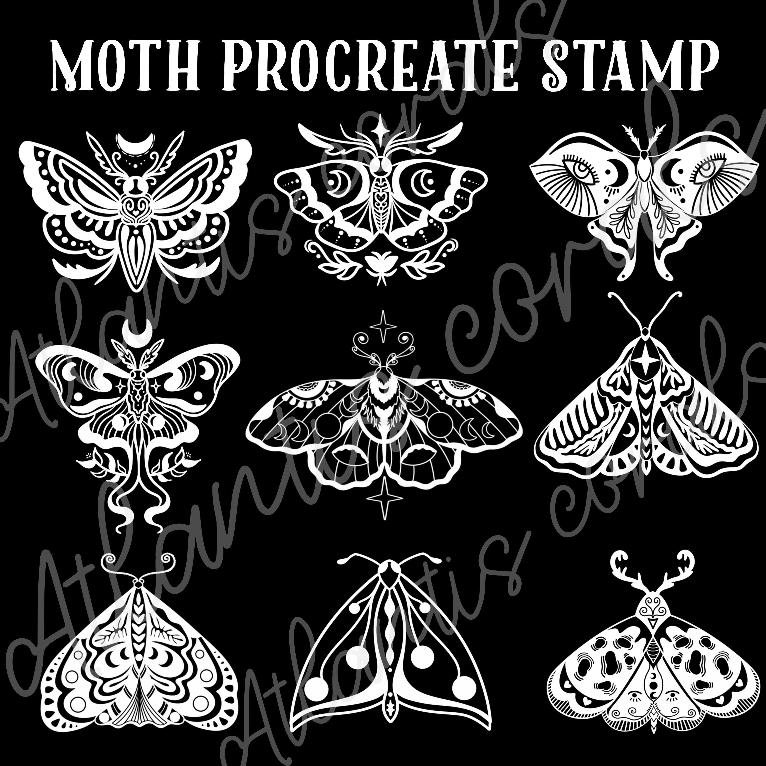Moth Procreate Brushes Butterfly Procreate Stamps Procreate Brush Set ...