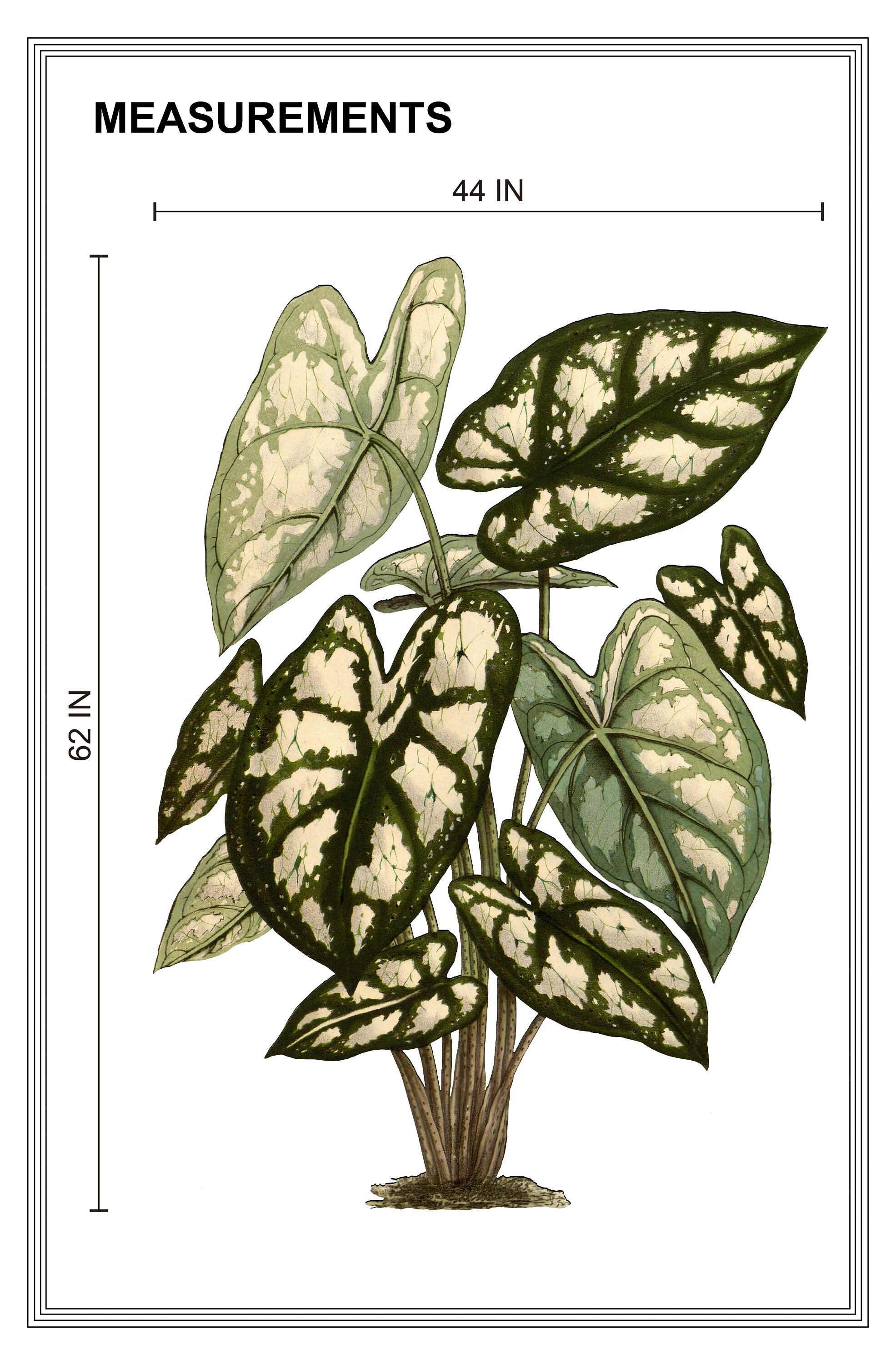 Removable Monstera Tropical Plant Wall Decal Wall Sticker for Living ...