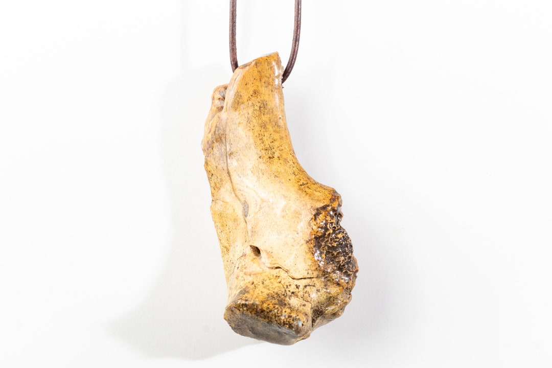 The Bone Charm Necklace, Handmade One of A Kind Pendant, Gift for ...