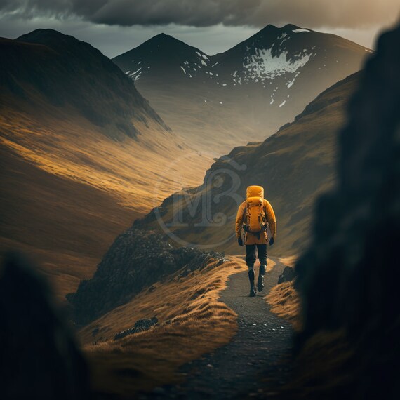 Winding Mountain Path