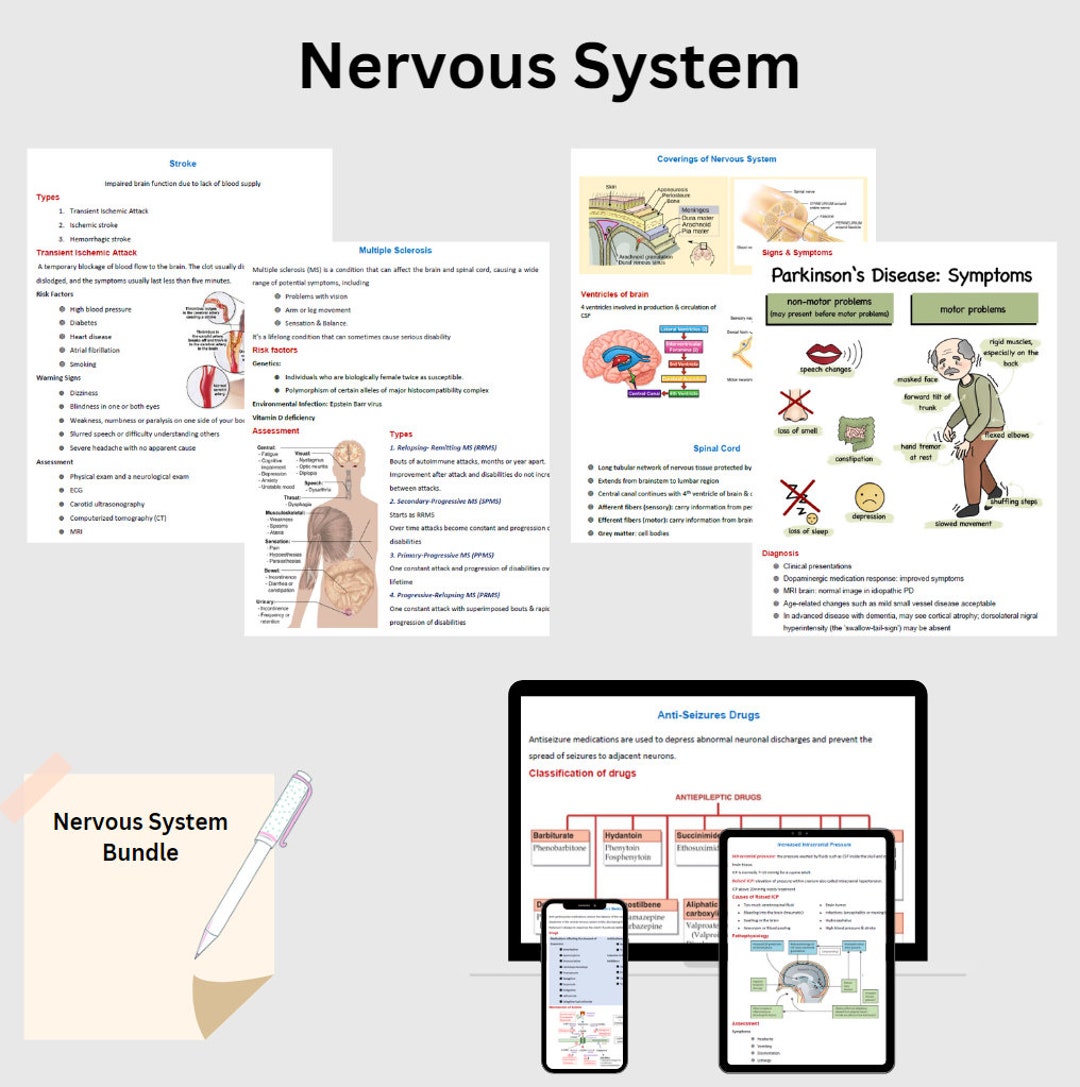Nervous System:anatomy,physiology, Common Problems, and Medications ...