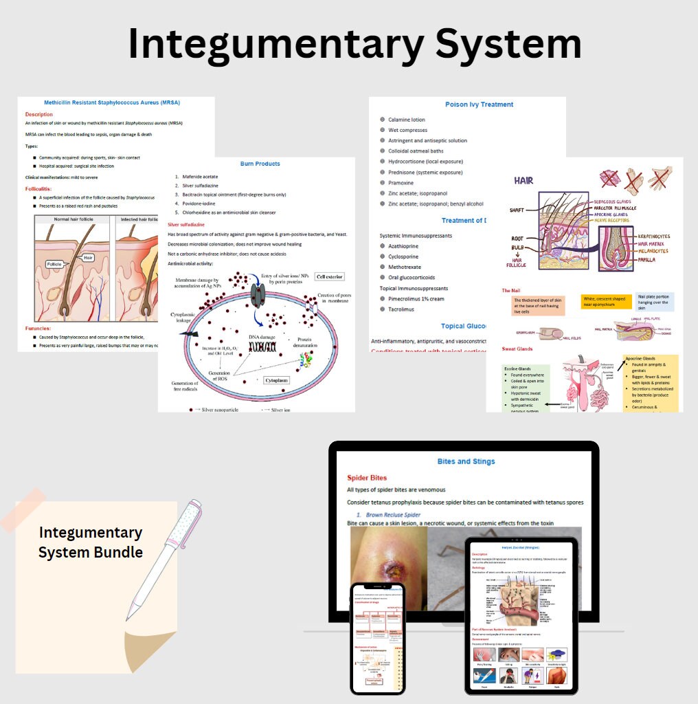 Integumentary System:anatomy,physiology, Common Problems, and ...