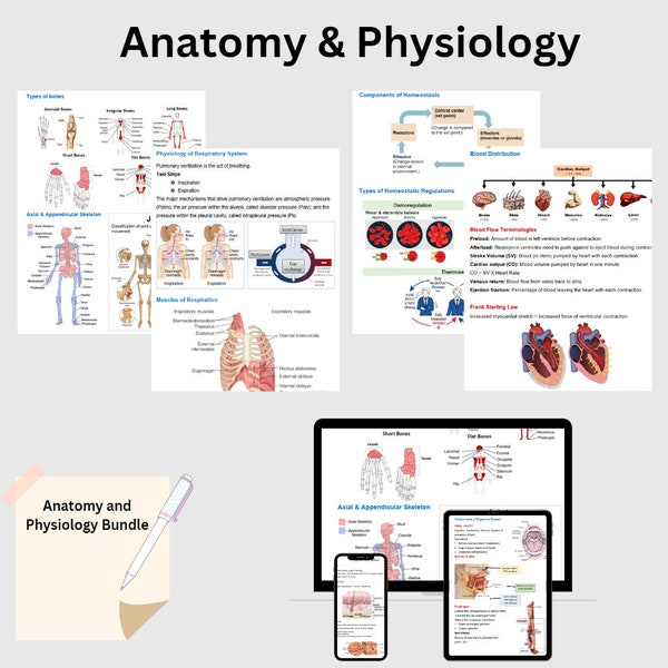 Anatomy Study Guide - Etsy
