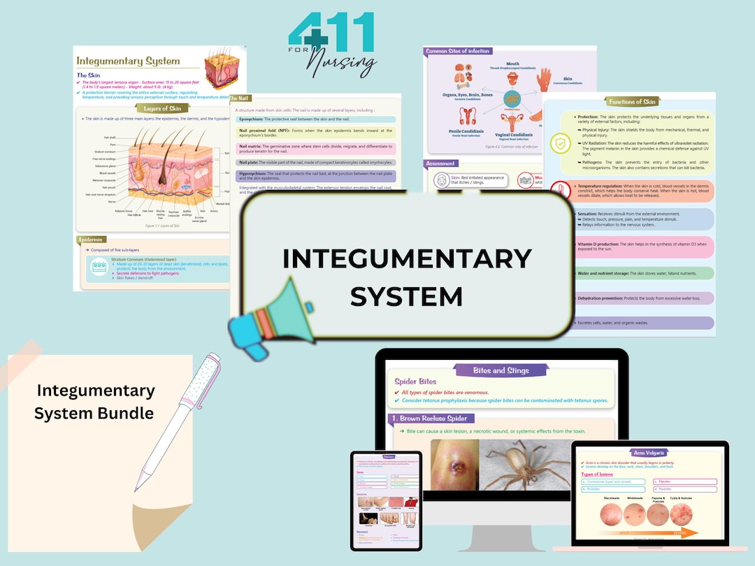 Integumentary System Study Guide 2025 | NCLEX Nursing Prep ...