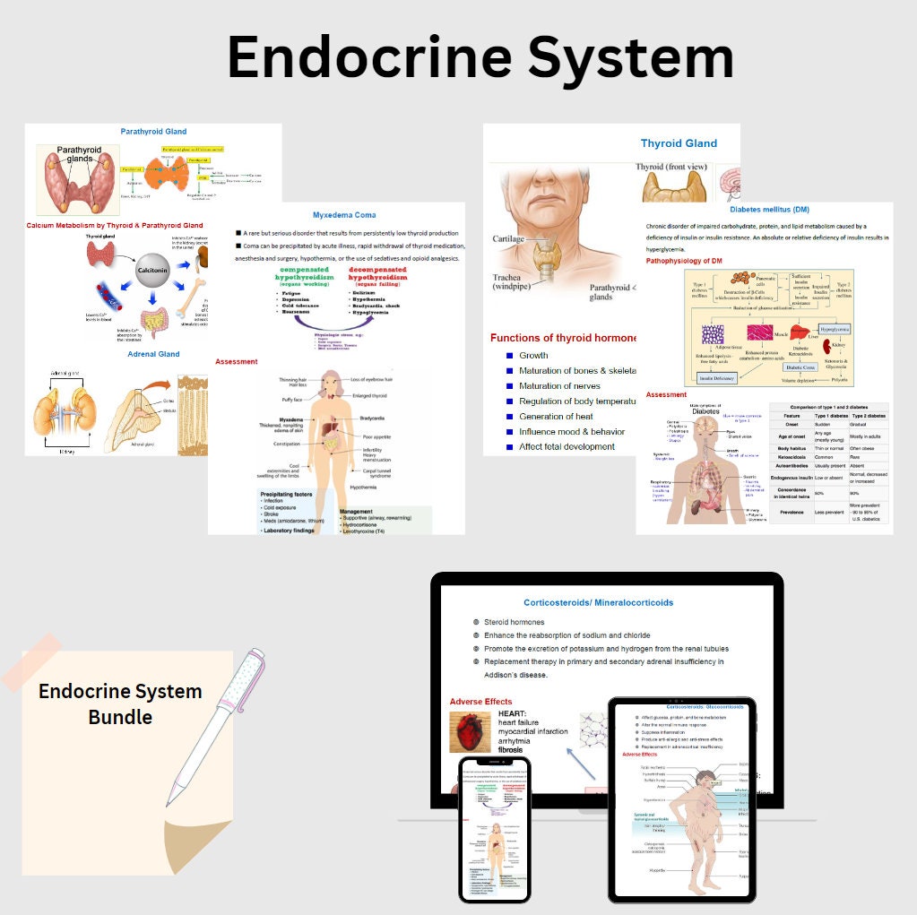 Endocrine System:anatomy,physiology, Common Problems, and Medications ...